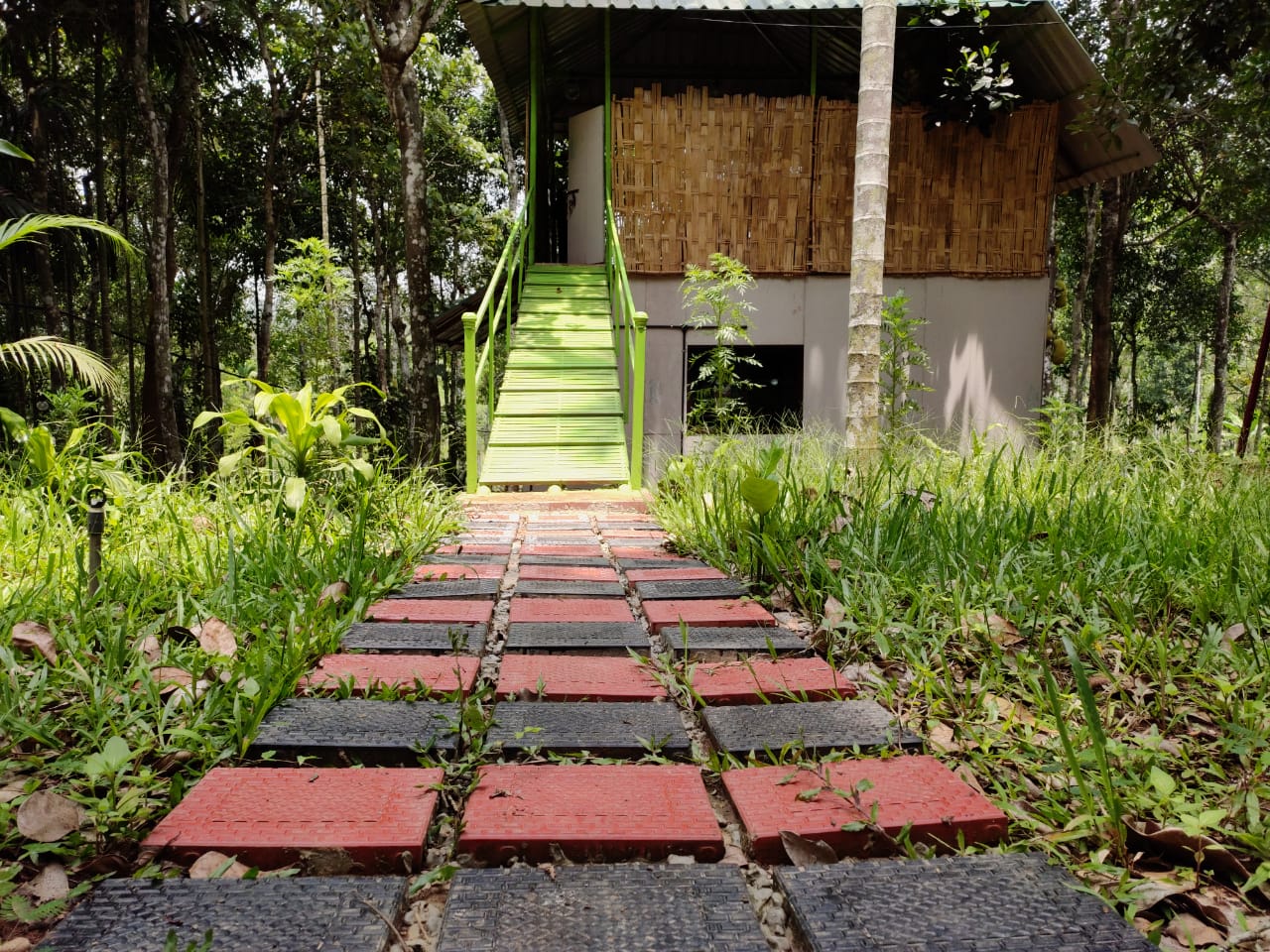 Wayanad Mist Villas & Resorts