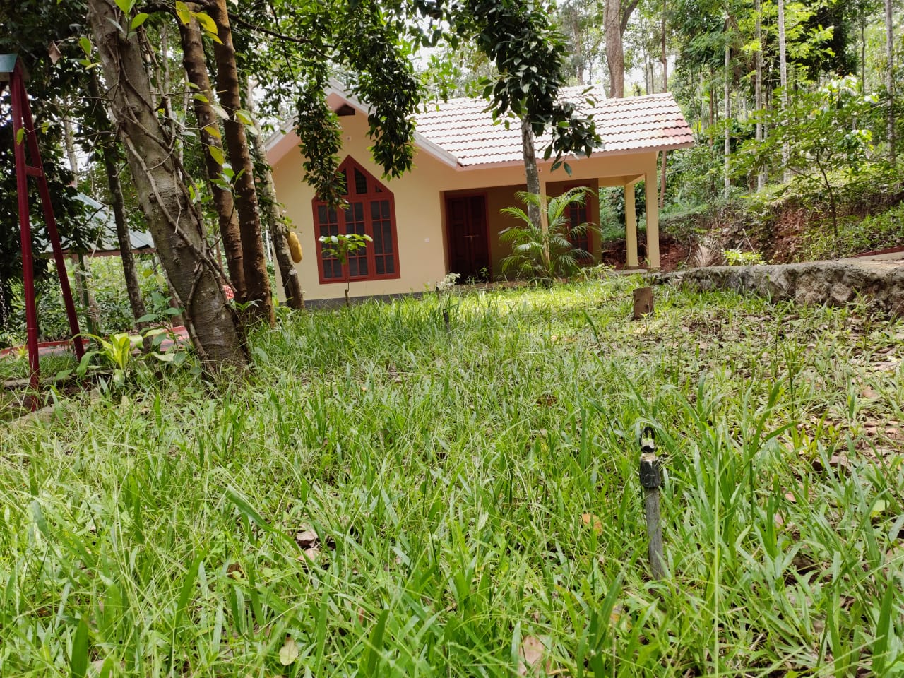 Wayanad Mist Villas & Resorts